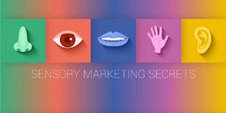 Include sensory marketing in your communication strategy – Dot Environment