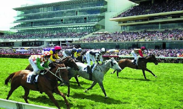 Where can I find good horse racing tips? – Dot Environment