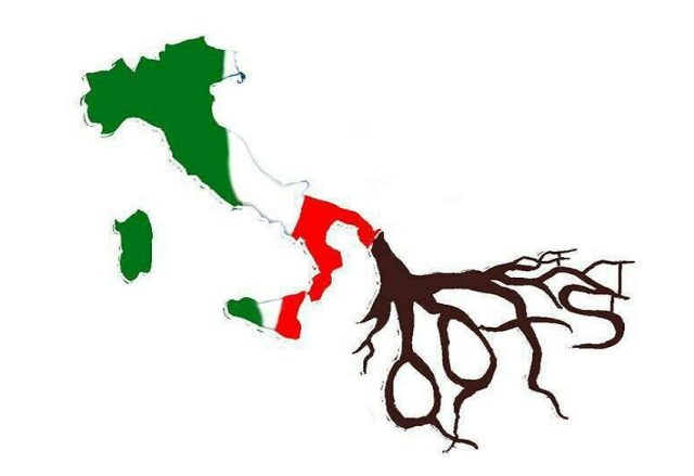 Uncovering Your Italian Roots – How to Join an Italian Genealogical ...